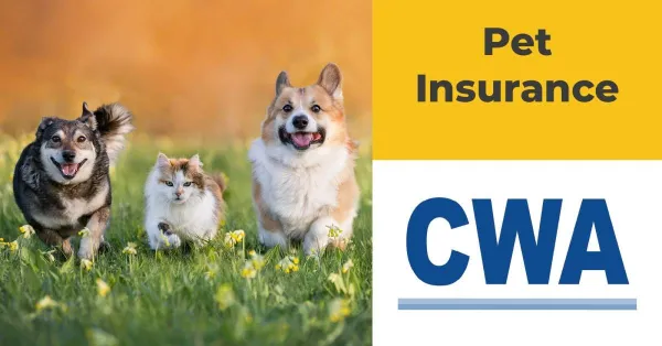 Union Plus Savings on Pet Care! | NABET-CWA